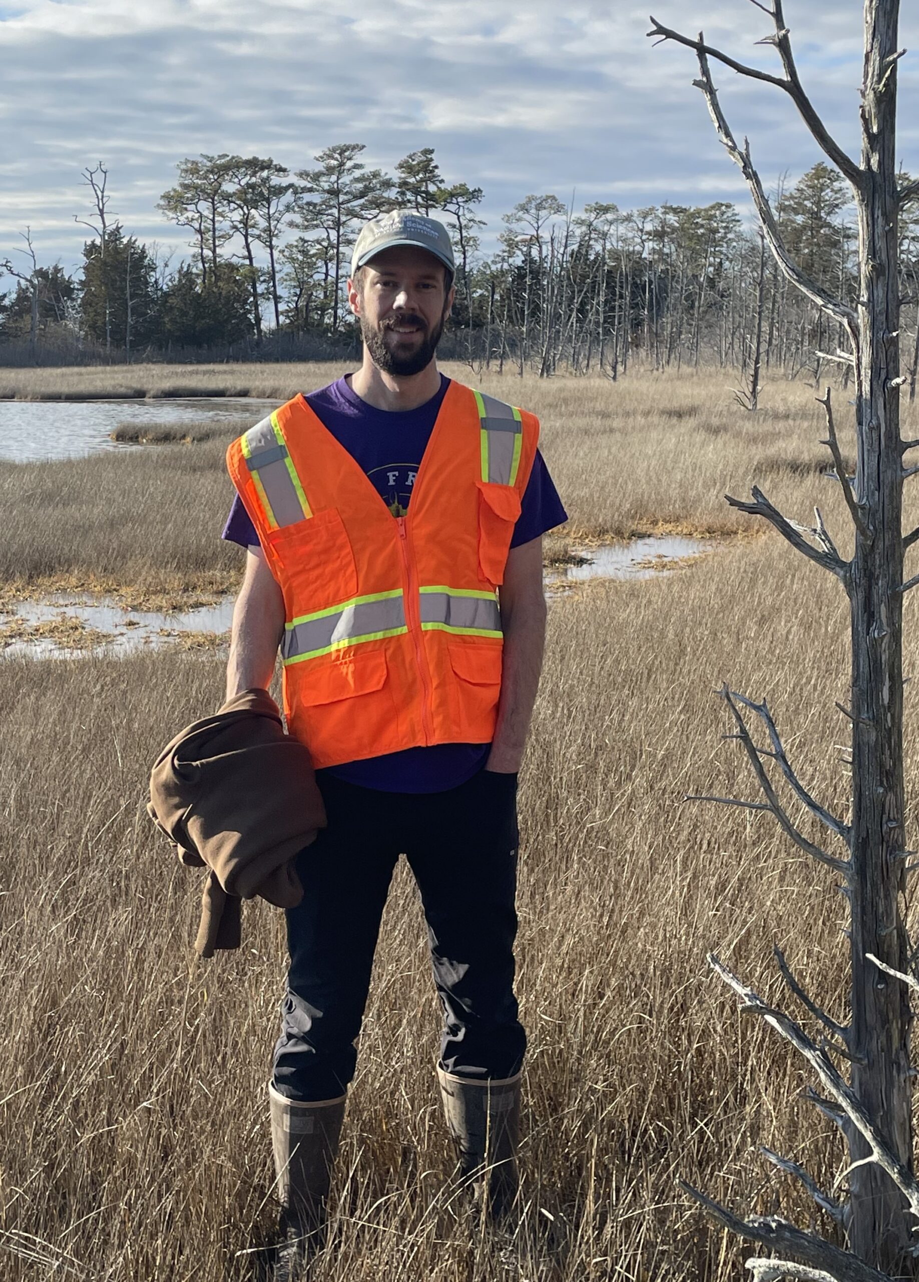 Salt Marsh Migration Into Maritime Forests in the Northeast – Waquoit ...