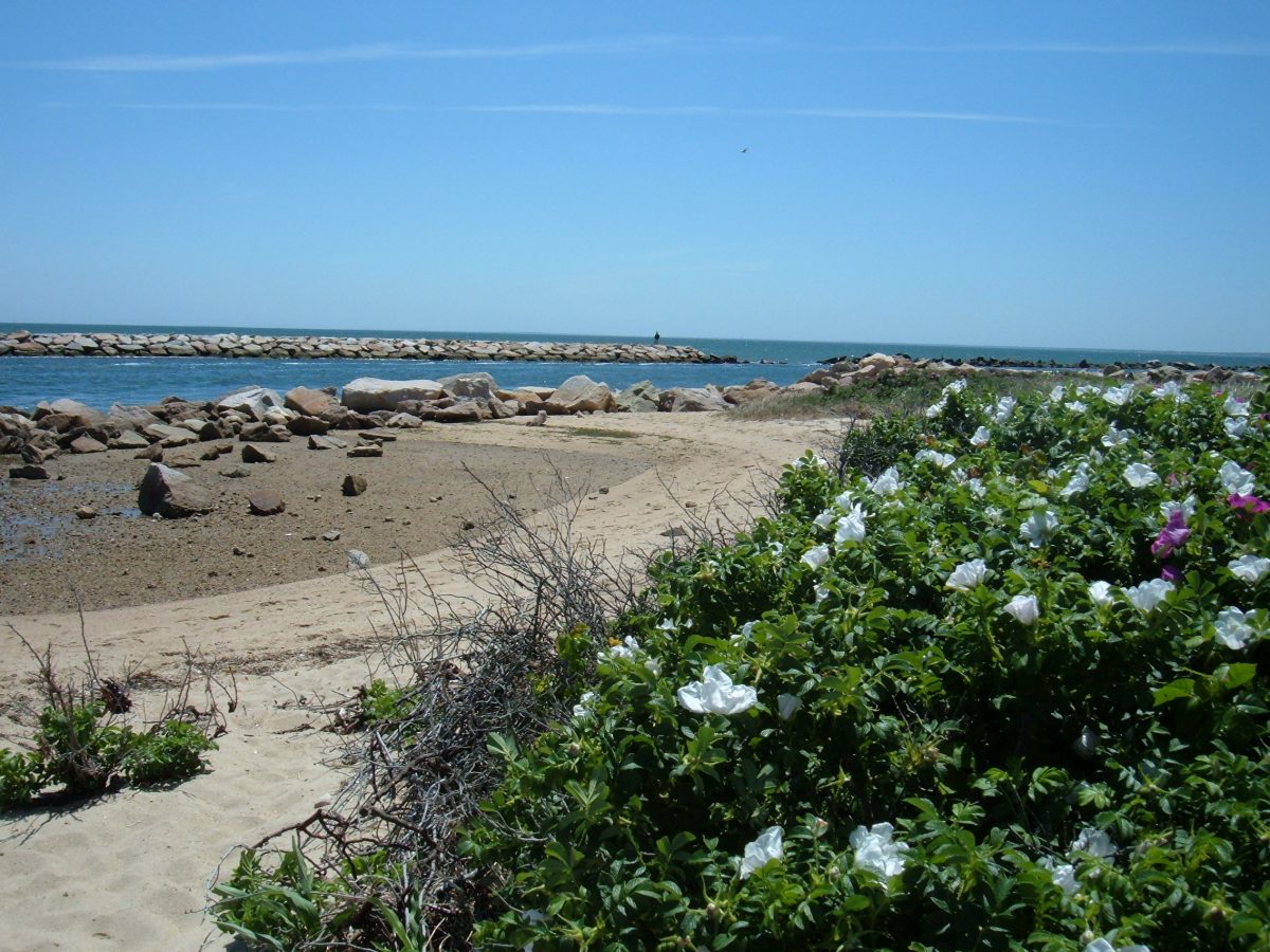 Camping – Waquoit Bay National Estuarine Research Reserve