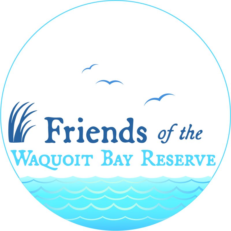 Waquoit Bay National Estuarine Research Reserve