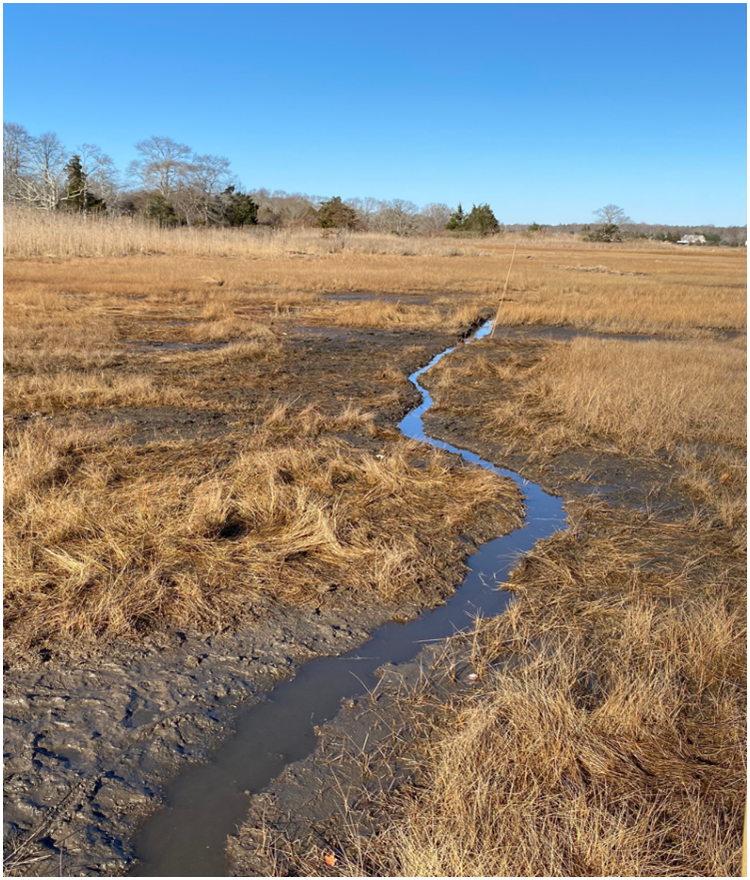 Runnel Restoration – Waquoit Bay National Estuarine Research Reserve