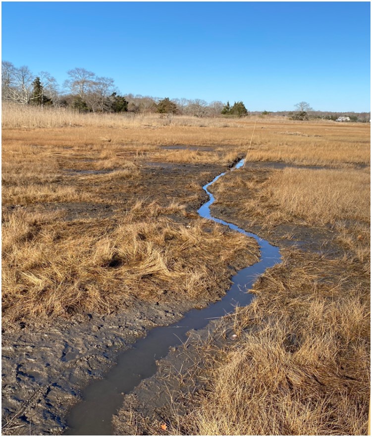 Restoring hydrology using runnels and salt marsh N biogeochemistry ...