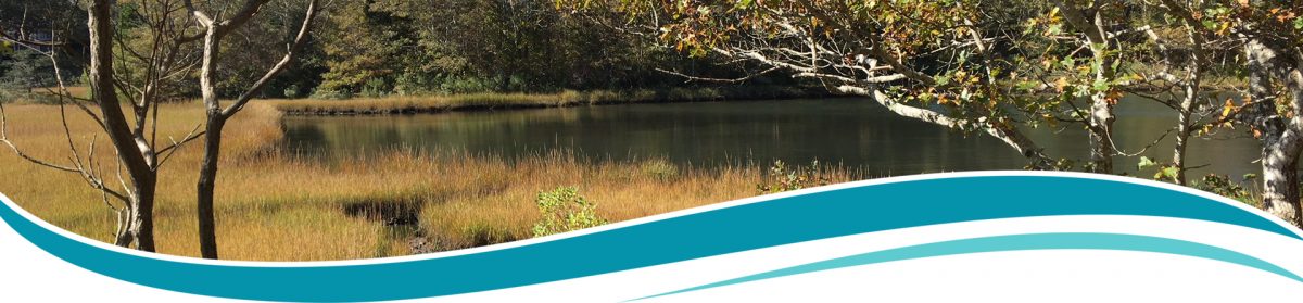 Waquoit Bay National Estuarine Research Reserve