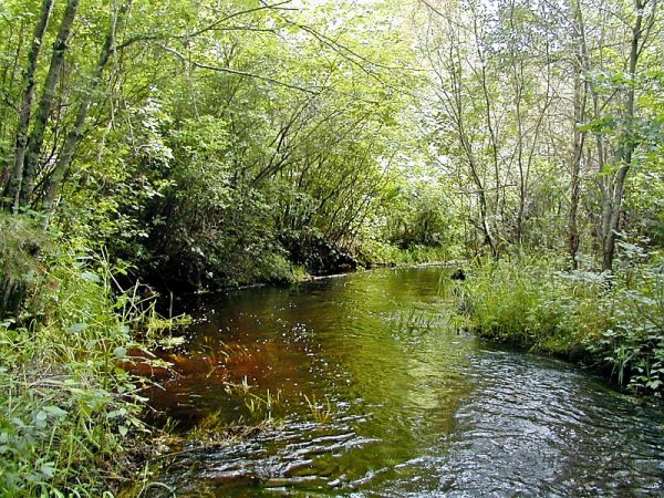 Properties, Directions and Hours – Waquoit Bay National Estuarine ...